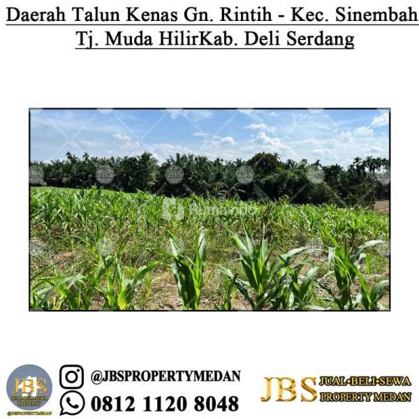 Dijual Tanah Kebun Buah Daerah Talun Kenas Pinggir jalan besar Gn ...