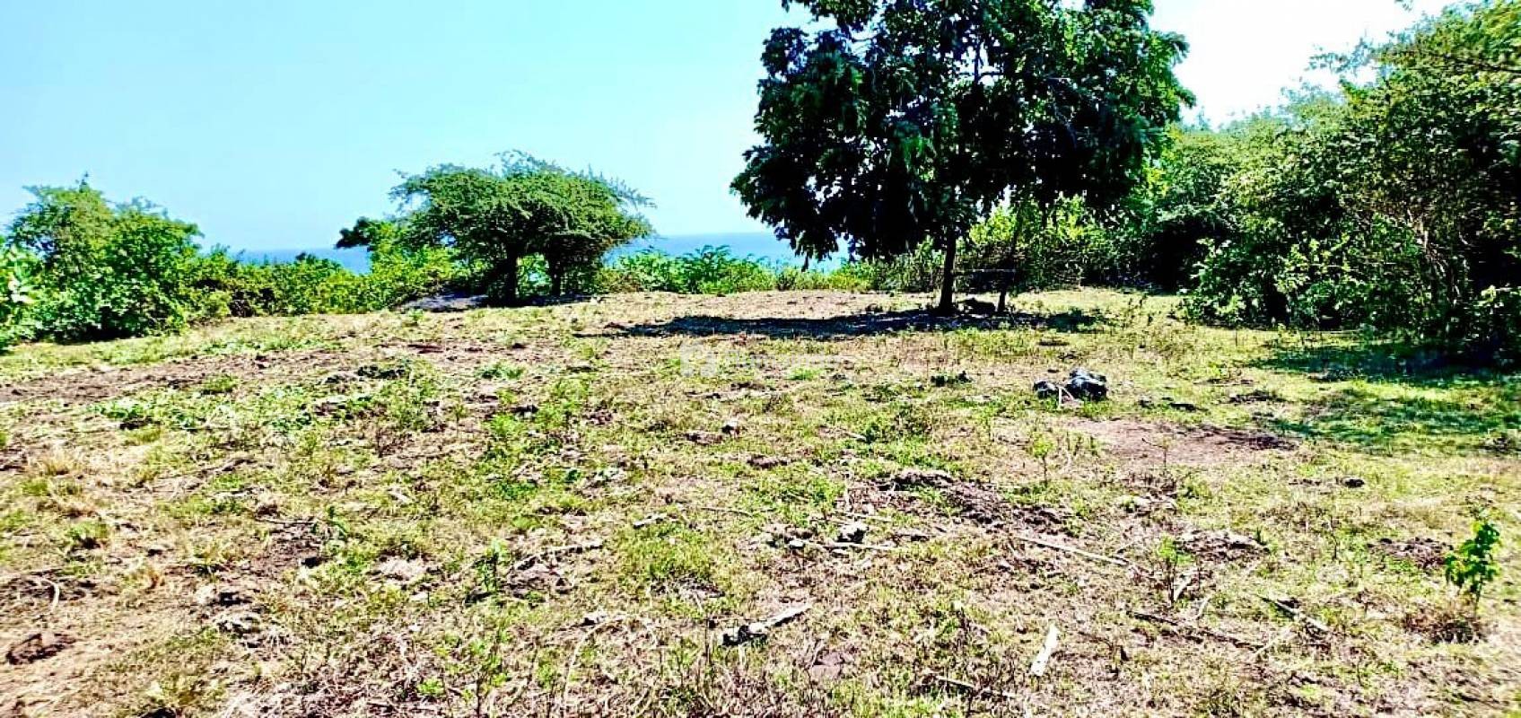 Tanah Los Tebing Pantai Bingin Pecatu Bali, Super Mewah - Rumaindo